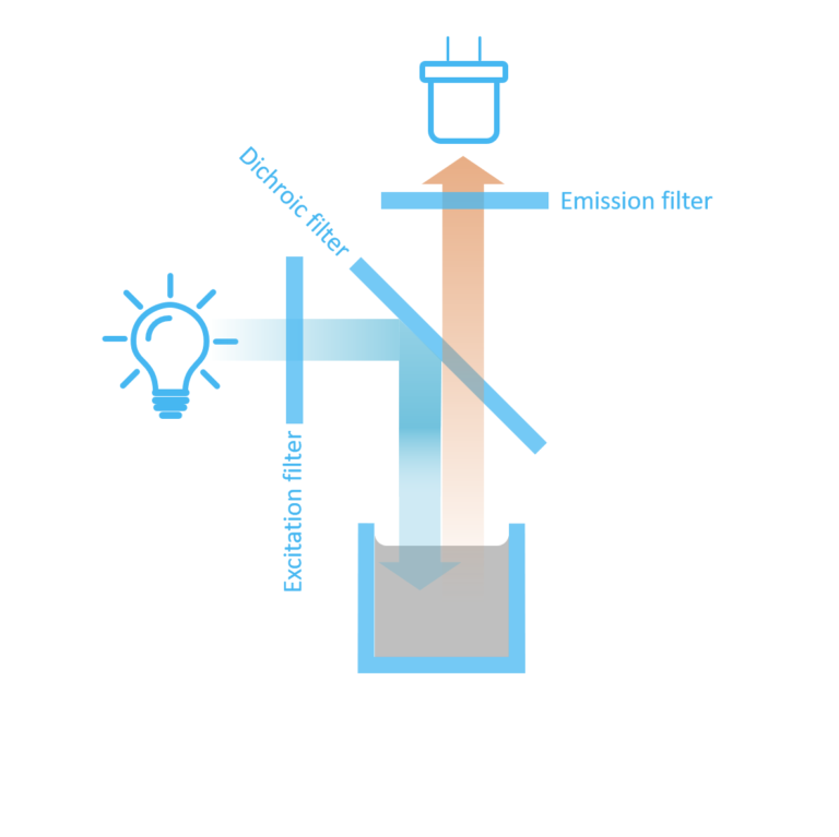Best Fluorescence Filters for Microscopy and Spectroscop