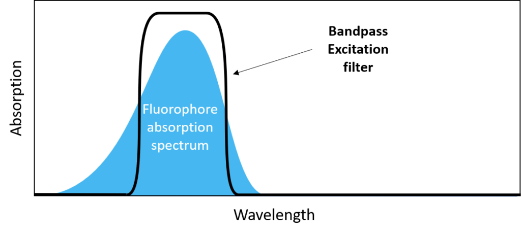 Best Fluorescence Filters for Microscopy and Spectroscop